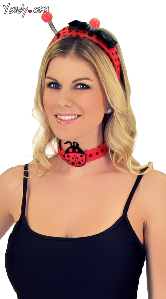 Ladybug Kit, Ladybug Antennae, Ladybug Choker, Laybug Accessories